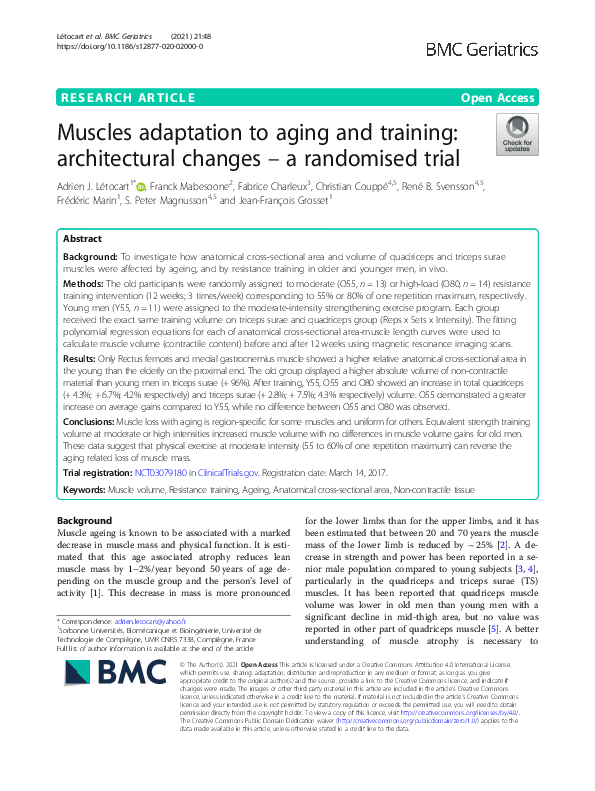 (PDF) Muscles adaptation to aging and training: architectural changes ...