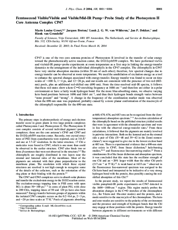 (PDF) Femtosecond Visible/Visible and Visible/Mid-IR Pump−Probe Study of the Photosystem II Core ...