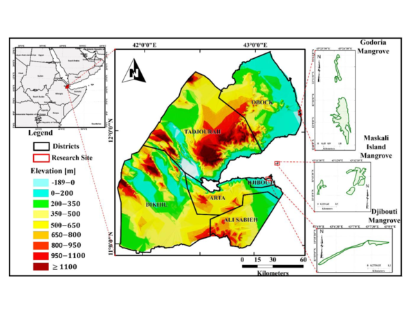 (PDF) Visualizing SRTM DEMs in ArcGIS Examples