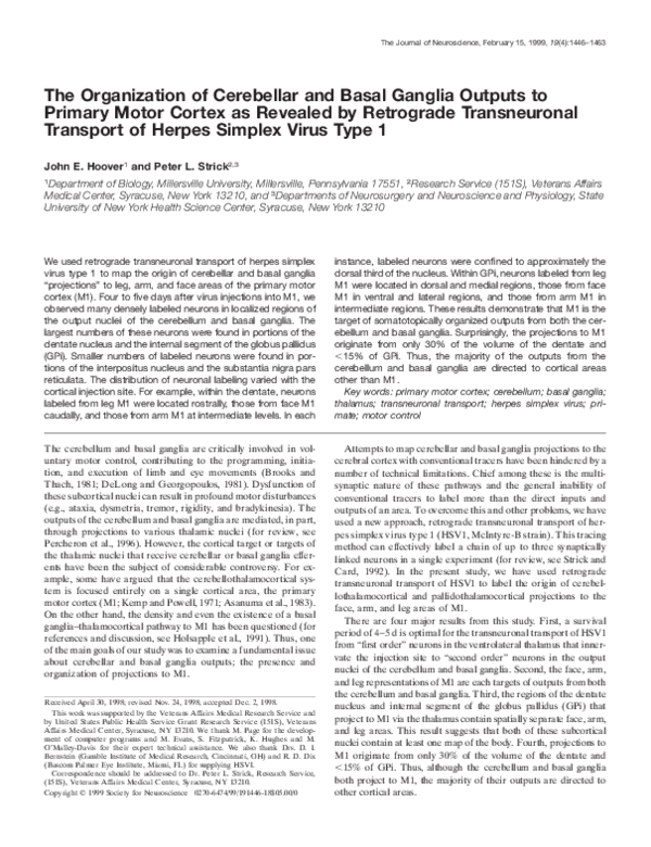 (PDF) The Organization of Cerebellar and Basal Ganglia Outputs to ...