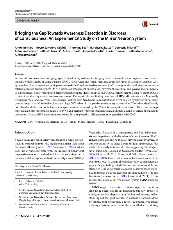 (PDF) Bridging the Gap Towards Awareness Detection in Disorders of ...