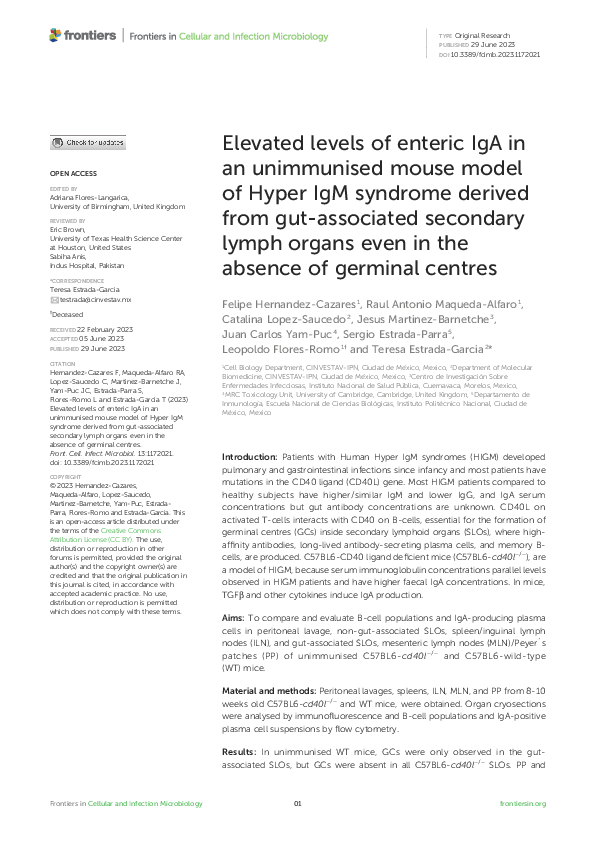 (PDF) Elevated levels of enteric IgA in an unimmunised mouse model of ...