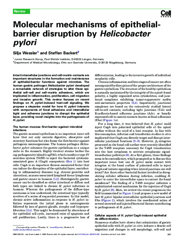 (PDF) Molecular mechanisms of epithelial-barrier disruption by ...