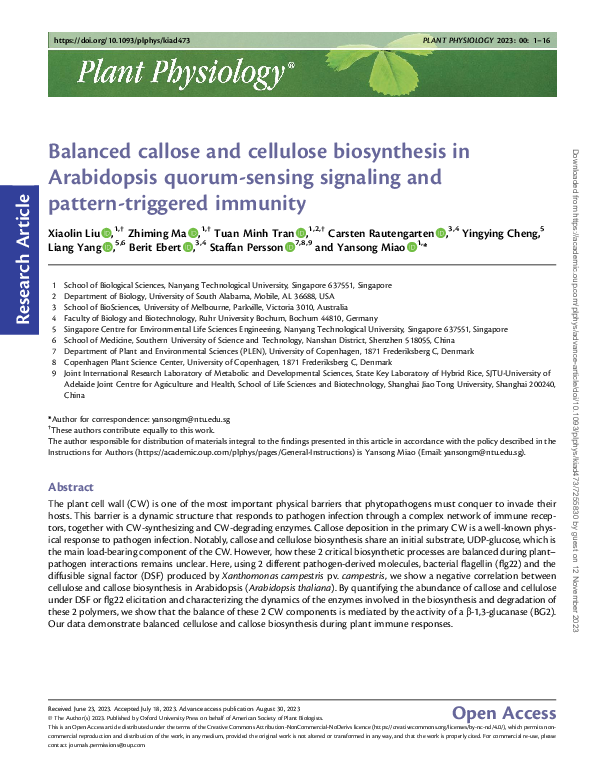 (PDF) Balanced callose and cellulose biosynthesis in Arabidopsis quorum ...
