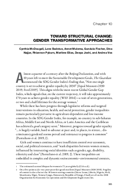 (PDF) Toward structural change: Gender transformative approaches