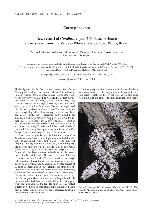 (PDF) New record of Corallus cropanii (Boidae, Boinae): a rare snake ...