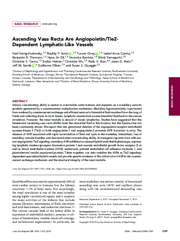 (PDF) Ascending Vasa Recta Are Angiopoietin/Tie2-Dependent Lymphatic-Like Vessels