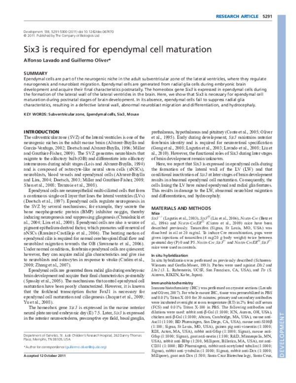 (PDF) Six3 is required for ependymal cell maturation