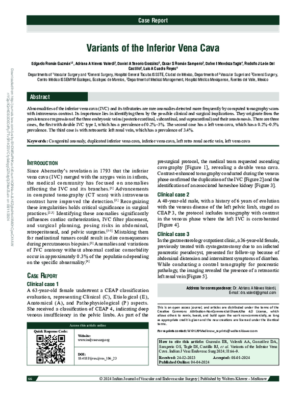 (PDF) Variants of the inferior vena cava.