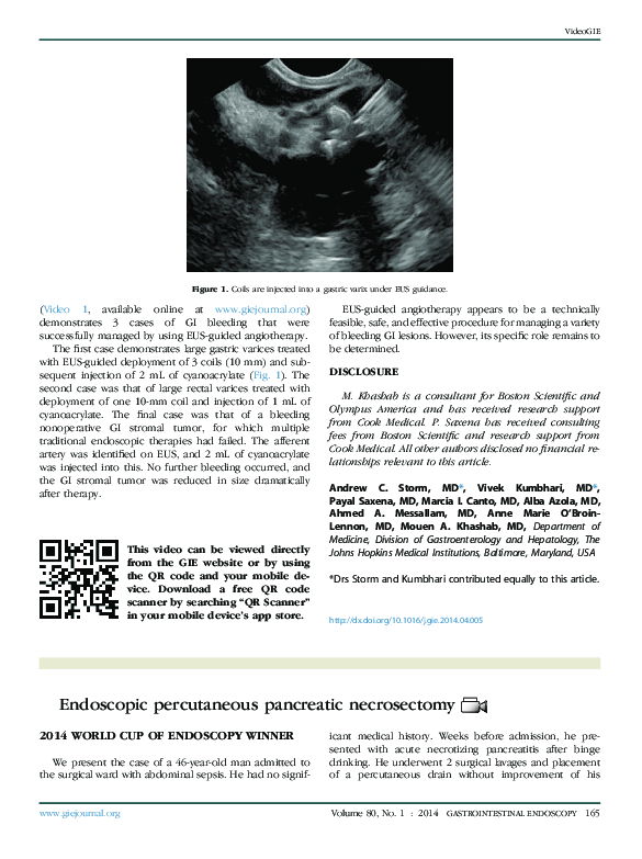 (PDF) Endoscopic percutaneous pancreatic necrosectomy