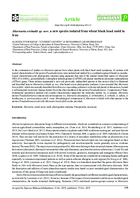 (PDF) Alternaria ershadii sp. nov . a new species isolated from wheat ...