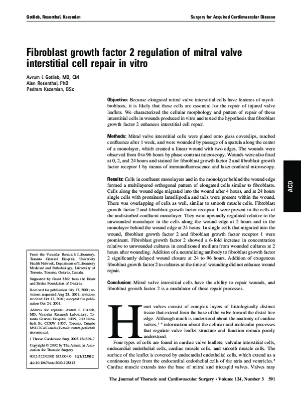 (PDF) Fibroblast growth factor 2 regulation of mitral valve ...