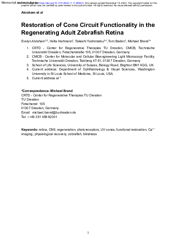 (PDF) Restoration of Cone Circuit Functionality in the Regenerating ...