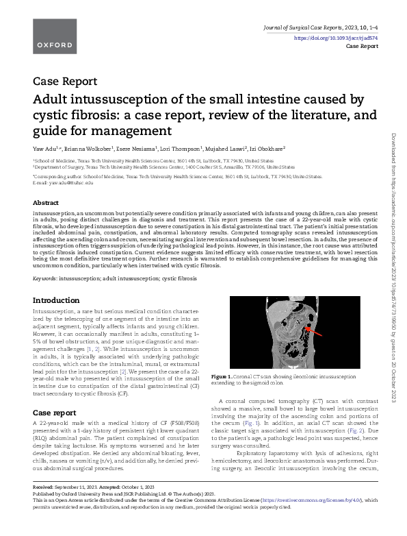 (PDF) Adult intussusception of the small intestine caused by cystic ...