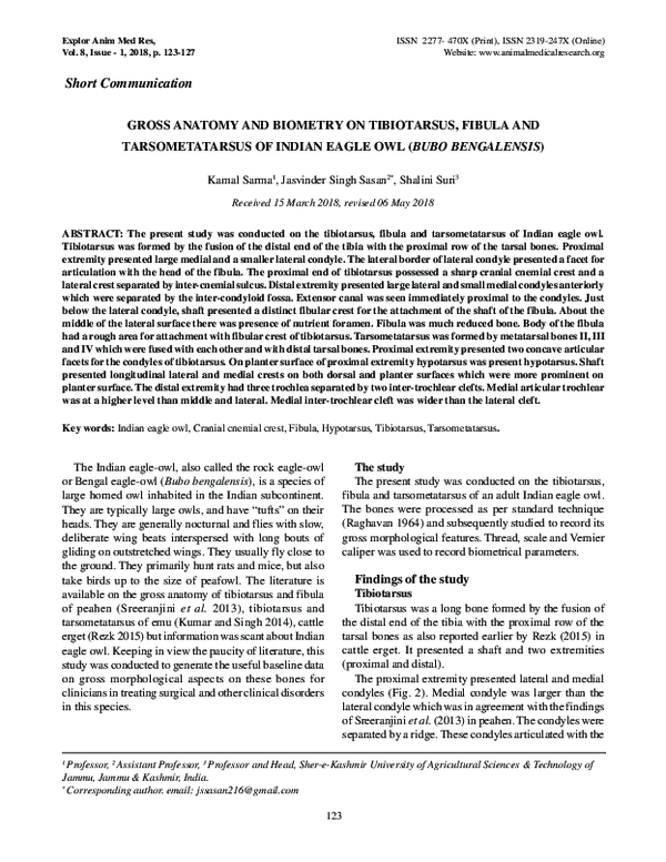 (PDF) Gross Anatomy and Biometry on Tibiotarsus, Fibula and ...
