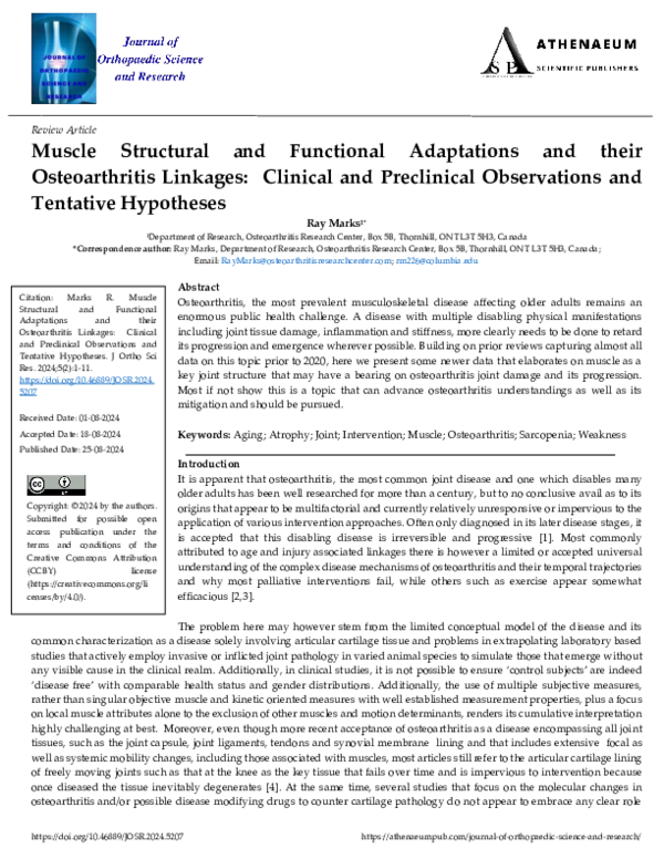 (PDF) Outcomes of a Novel Modular Porous Acetabular Shell in Revision ...