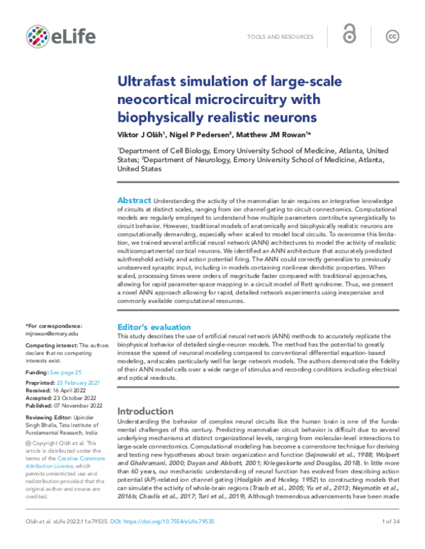 Ultrafast Simulation of Large-Scale Neocortical Microcircuitry with ...