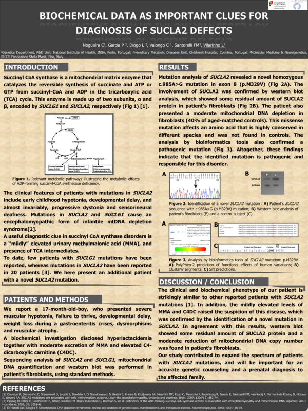 (PDF) Biochemical data as important clues for diagnosis of SUCLA2 ...