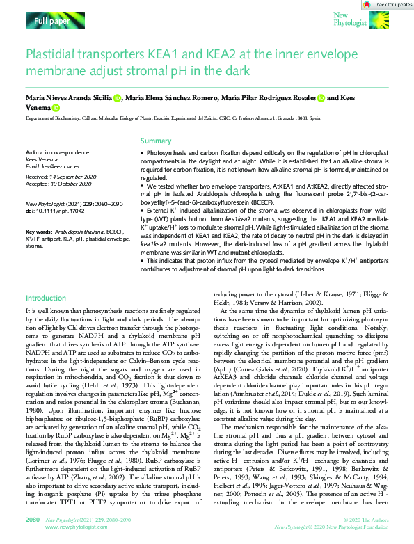 (PDF) Plastidial transporters KEA1 and KEA2 at the inner envelope ...