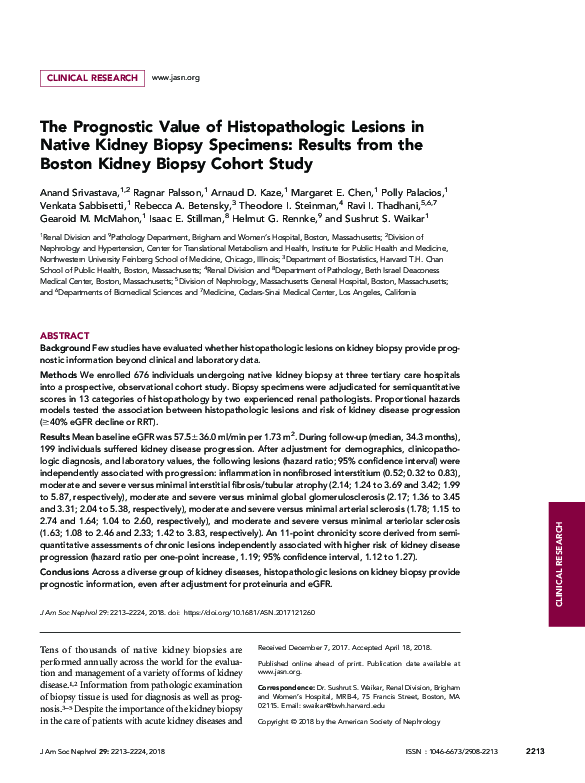 (PDF) The Prognostic Value of Histopathologic Lesions in Native Kidney ...