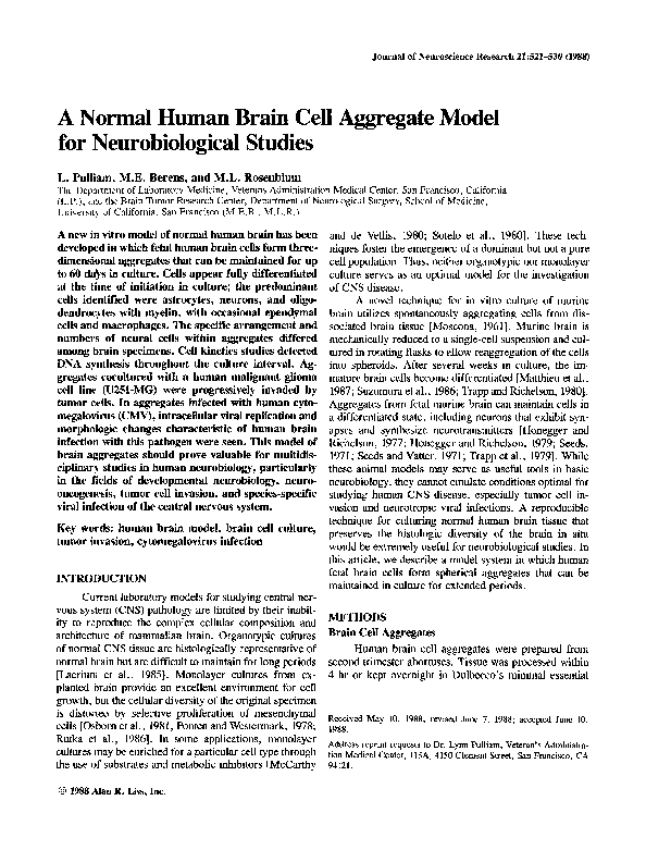 (PDF) A normal human brain cell aggregate model for neurobiological studies