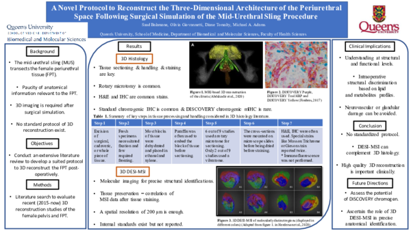 (PDF) A Novel Protocol to Reconstruct the Three-Dimensional ...