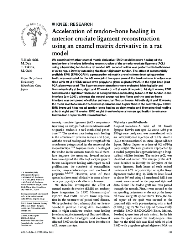 (PDF) Acceleration of tendon–bone healing in anterior cruciate ligament reconstruction using an ...