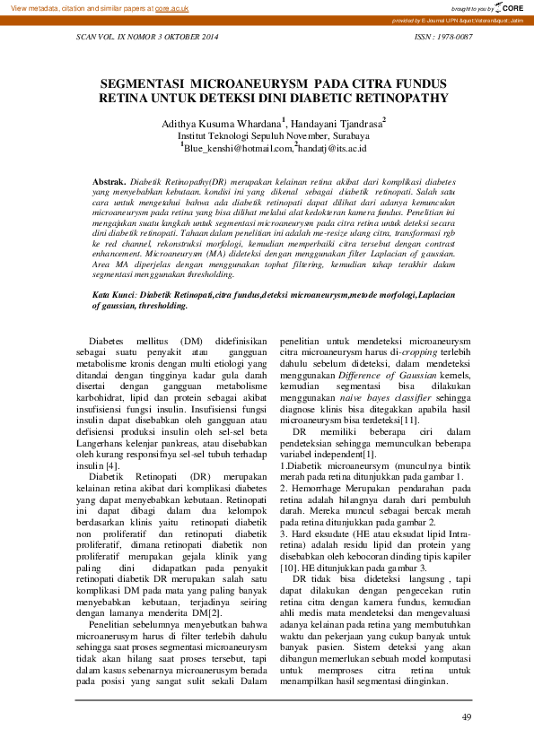 (PDF) Segmentasi Microaneurysm Pada Citra Fundus Retina Untuk Deteksi ...