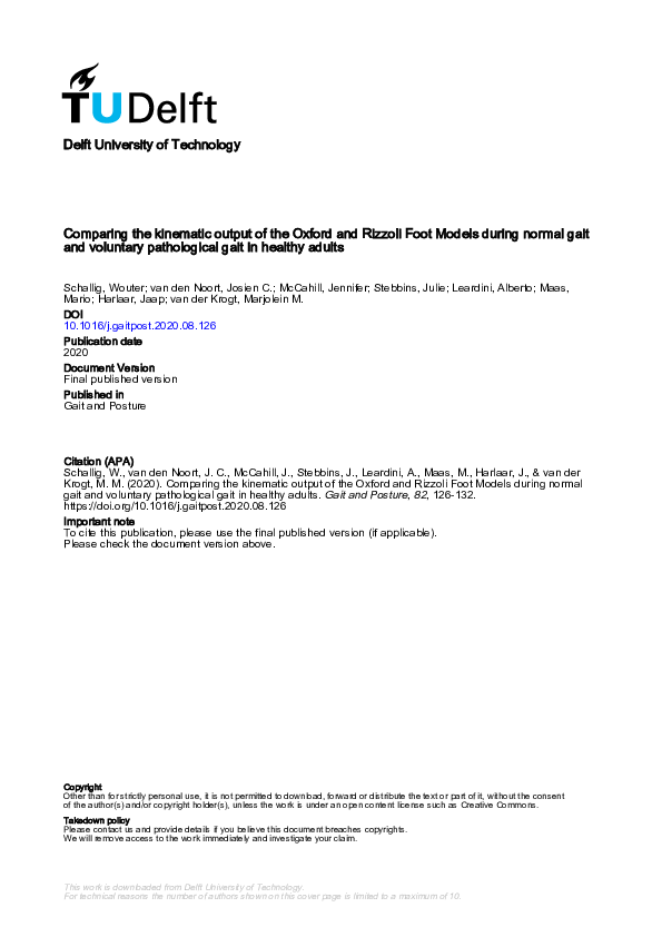 (PDF) Comparing the kinematic output of the Oxford and Rizzoli Foot ...