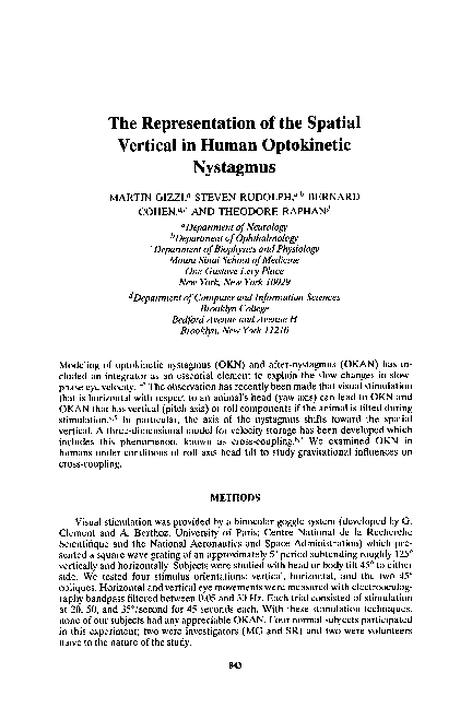 (PDF) The Representation of the Spatial Vertical in Human Optokinetic ...