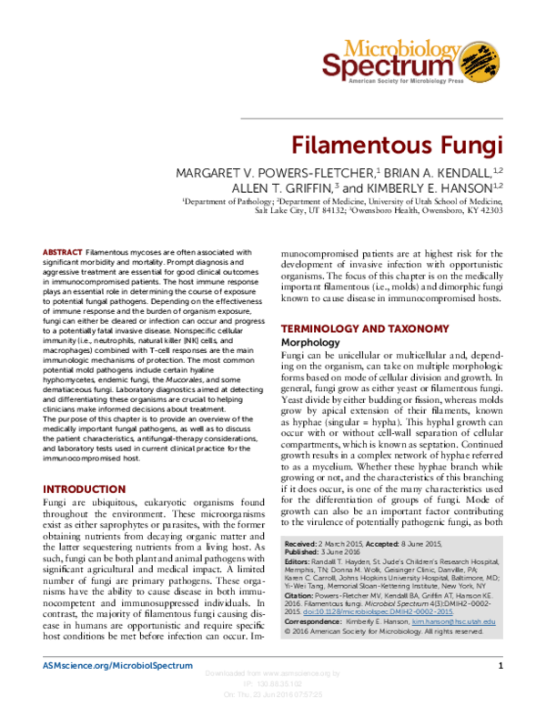 (PDF) Filamentous Fungi