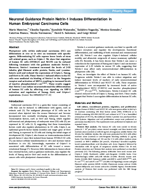 (PDF) Neuronal Guidance Protein Netrin-1 Induces Differentiation in ...