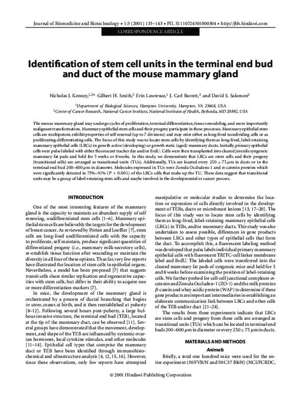 (PDF) Identification of Stem Cell Units in the Terminal End Bud and ...
