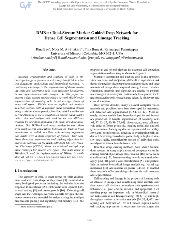 (PDF) DMNet: Dual-Stream Marker Guided Deep Network for Dense Cell ...