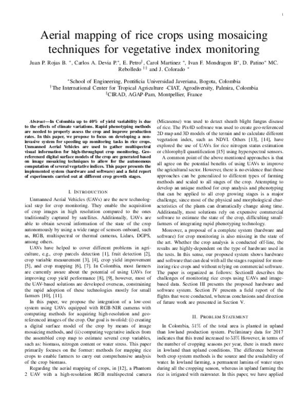 (PDF) Aerial mapping of rice crops using mosaicing techniques for ...