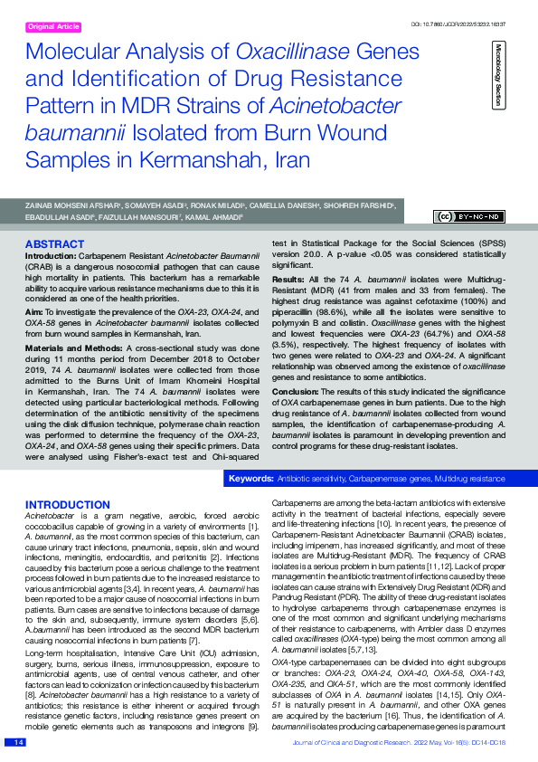 (PDF) Molecular Analysis of Oxacillinase Genes and Identification of Drug Resistance Pattern in ...