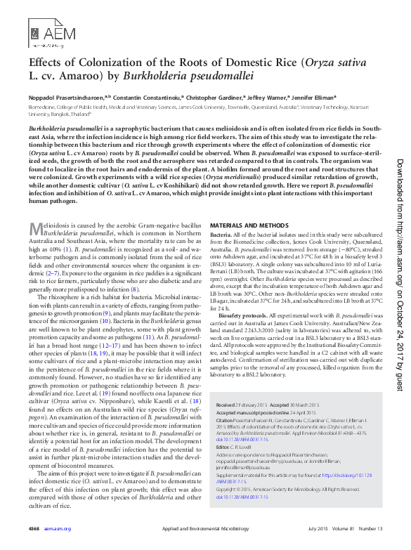 (PDF) Effects of Colonization of the Roots of Domestic Rice (Oryza ...