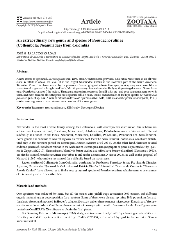 (PDF) An extraordinary new genus and species of Pseudachorutinae ...