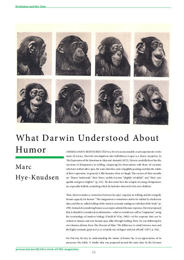 (PDF) What Darwin Understood About Humor