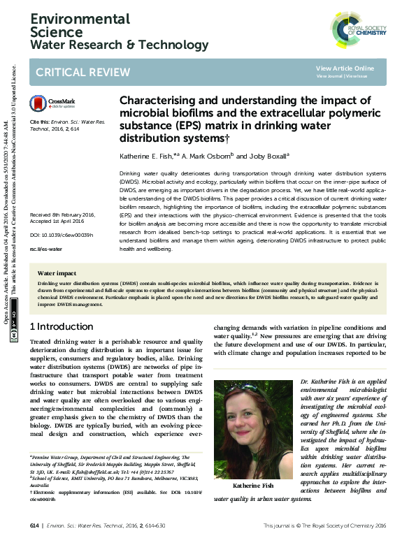 (PDF) Characterising and understanding the impact of microbial biofilms ...