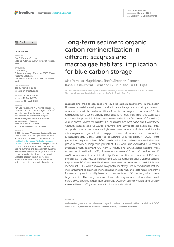 (PDF) Long-term sediment organic carbon remineralization in different ...