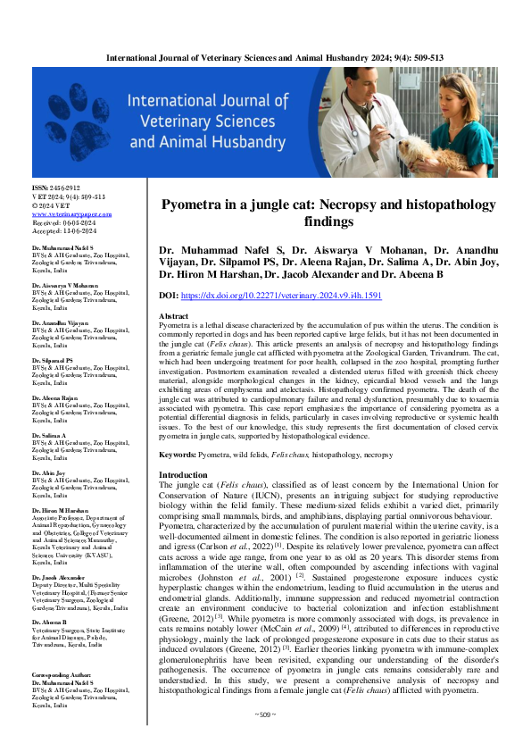 (PDF) Pyometra in a jungle cat: Necropsy and histopathology findings