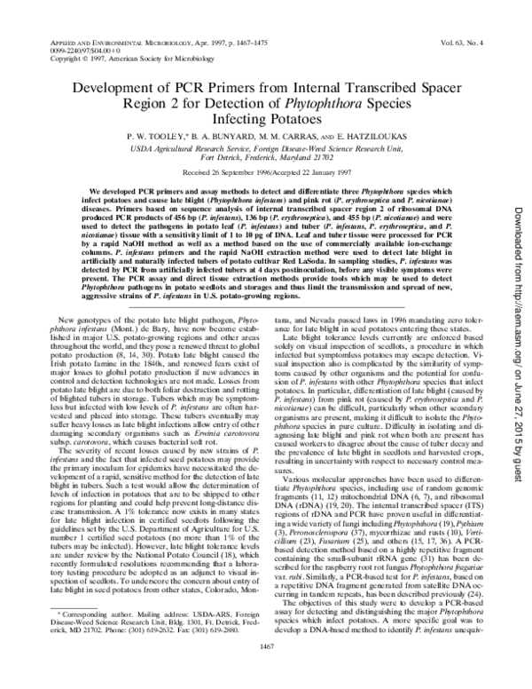 (PDF) Development of PCR primers from internal transcribed spacer ...