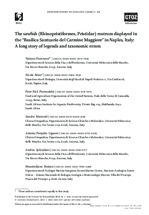 (PDF) The sawfish (Rhinopristiformes, Pristidae) rostrum displayed in ...