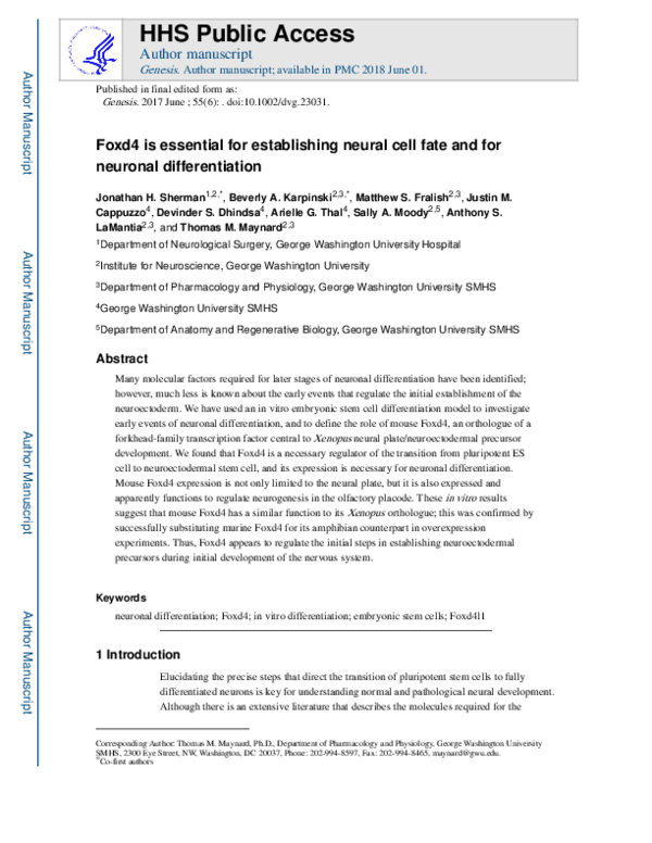 (PDF) Foxd4 is essential for establishing neural cell fate and for ...