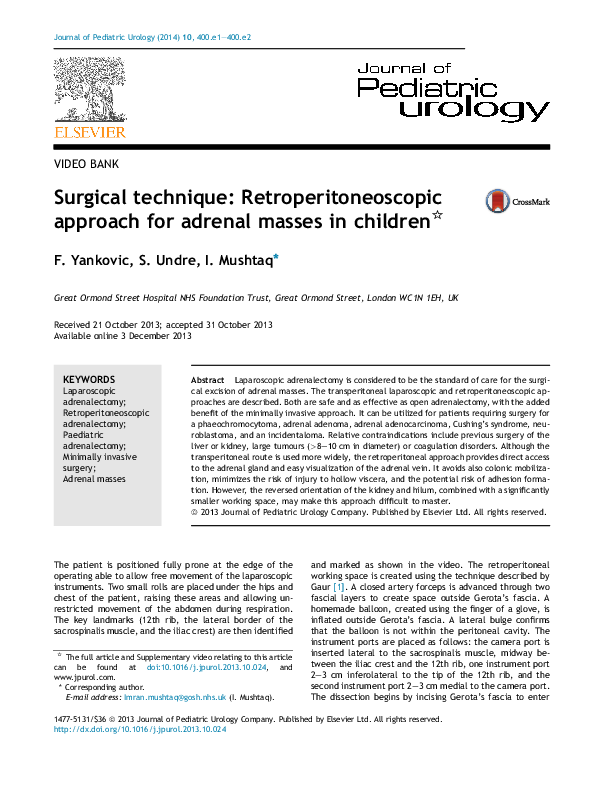 (PDF) Surgical technique: Retroperitoneoscopic approach for adrenal ...