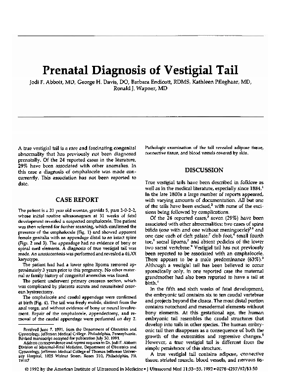 (PDF) Prenatal diagnosis of vestigial tail