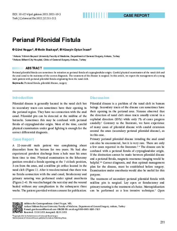 (PDF) Perianal Pilonidal Fistula