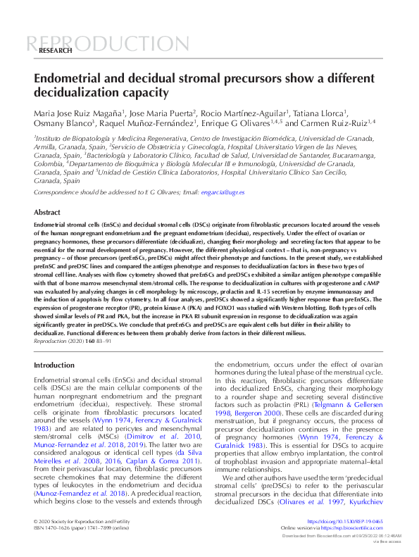 (PDF) Endometrial and decidual stromal precursors show a different ...