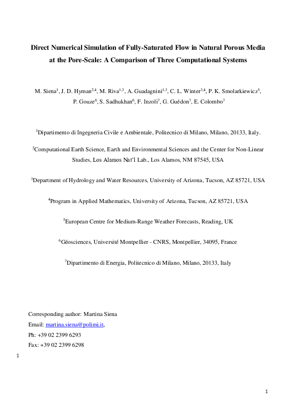 (PDF) Direct numerical simulation of fully saturated flow in natural porous media at the pore ...